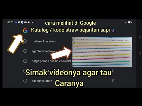cara melihat kode straw pejantan sapi di Google - YouTube
