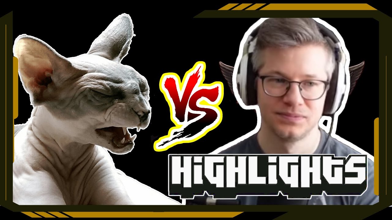 Ruetoo vs Subtractem - Path of Exile Highlights #312 - Ruetoo, Waggle ...