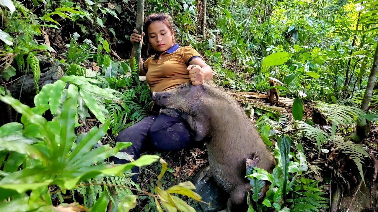tracking wild boar tracks, wild boar trapped, survival alone, survival ...