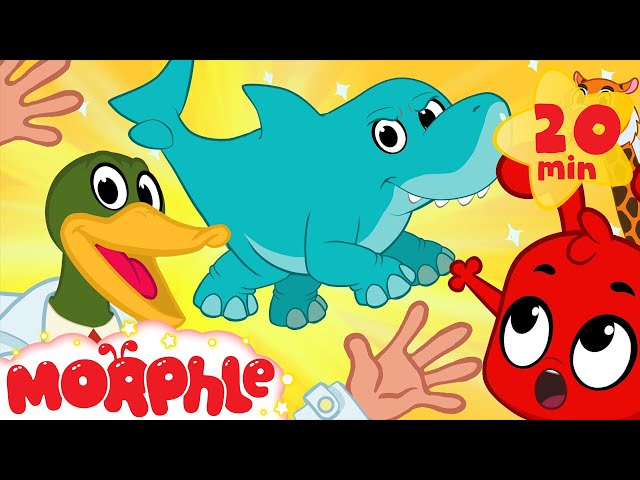 Super Hero Morphle's Crazy Animal Mixer! Shark Mixed with Elephant ...