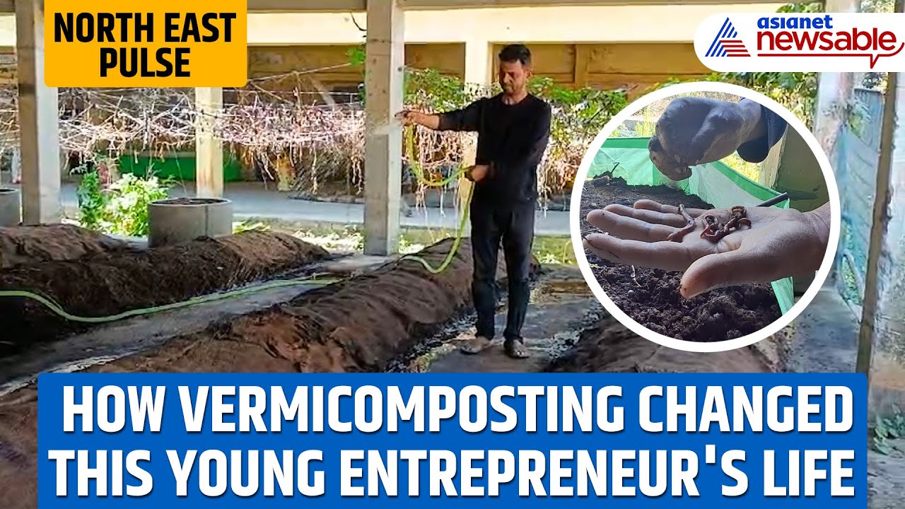 North East Pulse | How Vermicomposting Venture Transformed Life for Assam's Young Entrepreneur ...