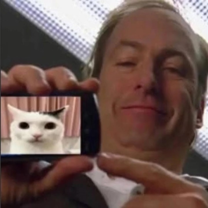 better cat saul - YouTube