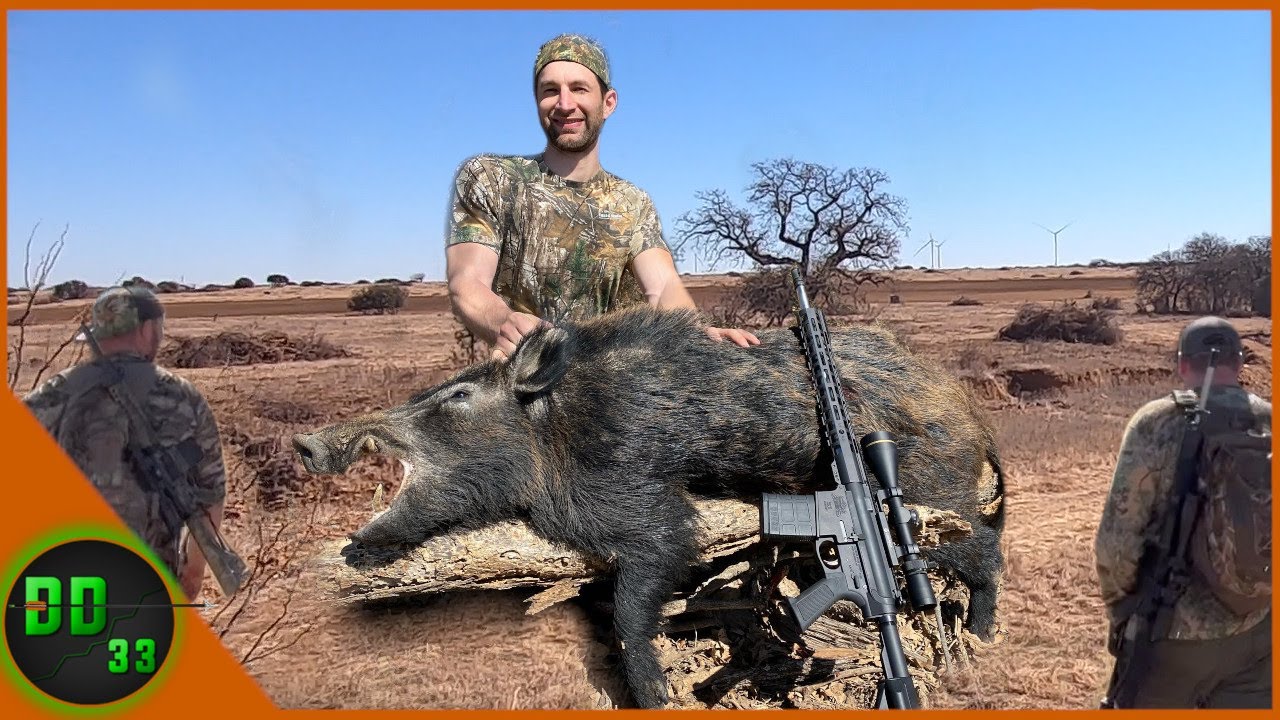 A Wild Boar Hunt of A Lifetime! - YouTube