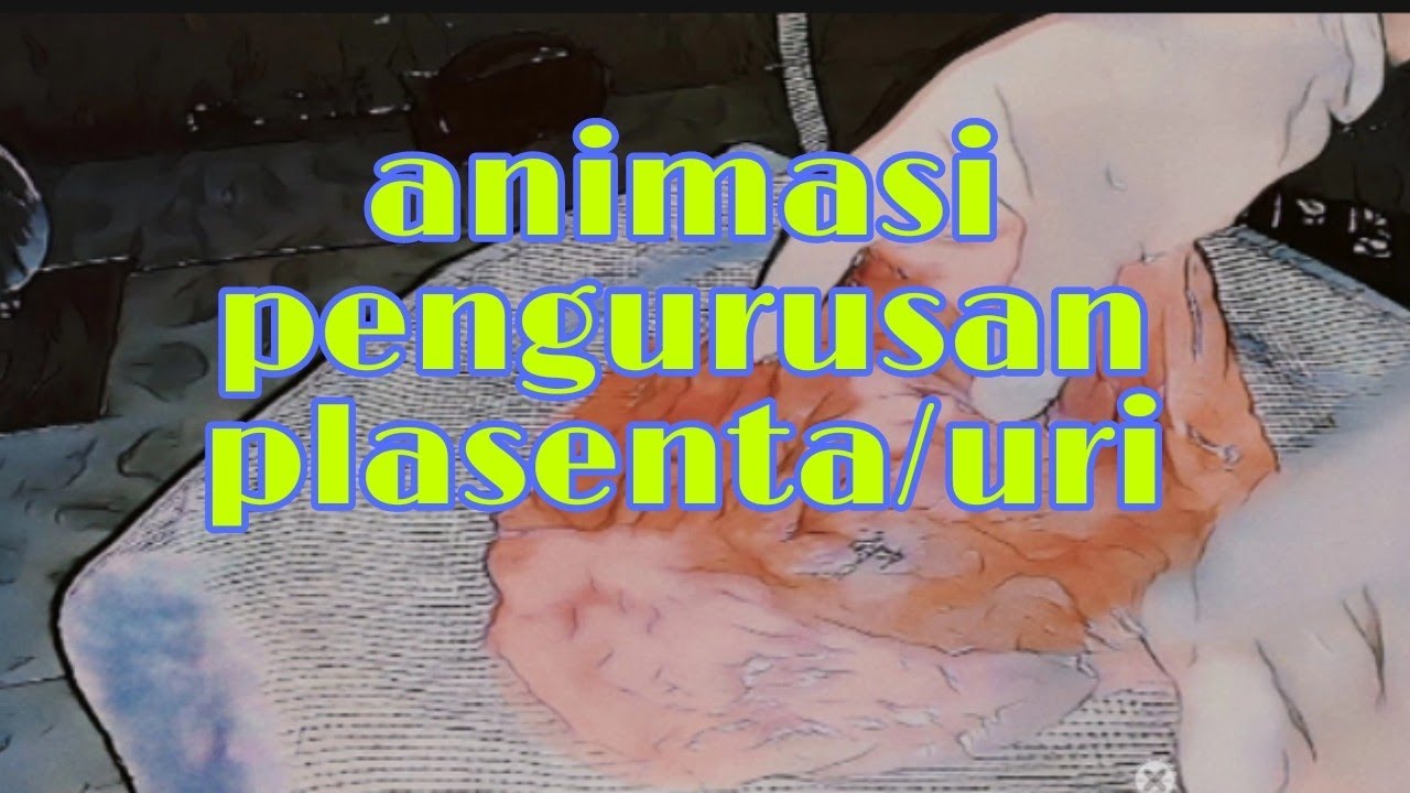 pengurusan plasenta/uri bayi versi animasi... - YouTube