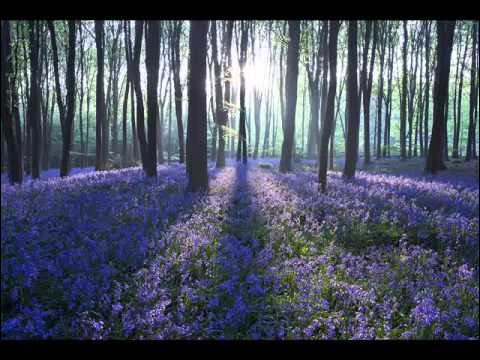 Fabrizio Paterlini - Autumn Stories Week #8 - YouTube