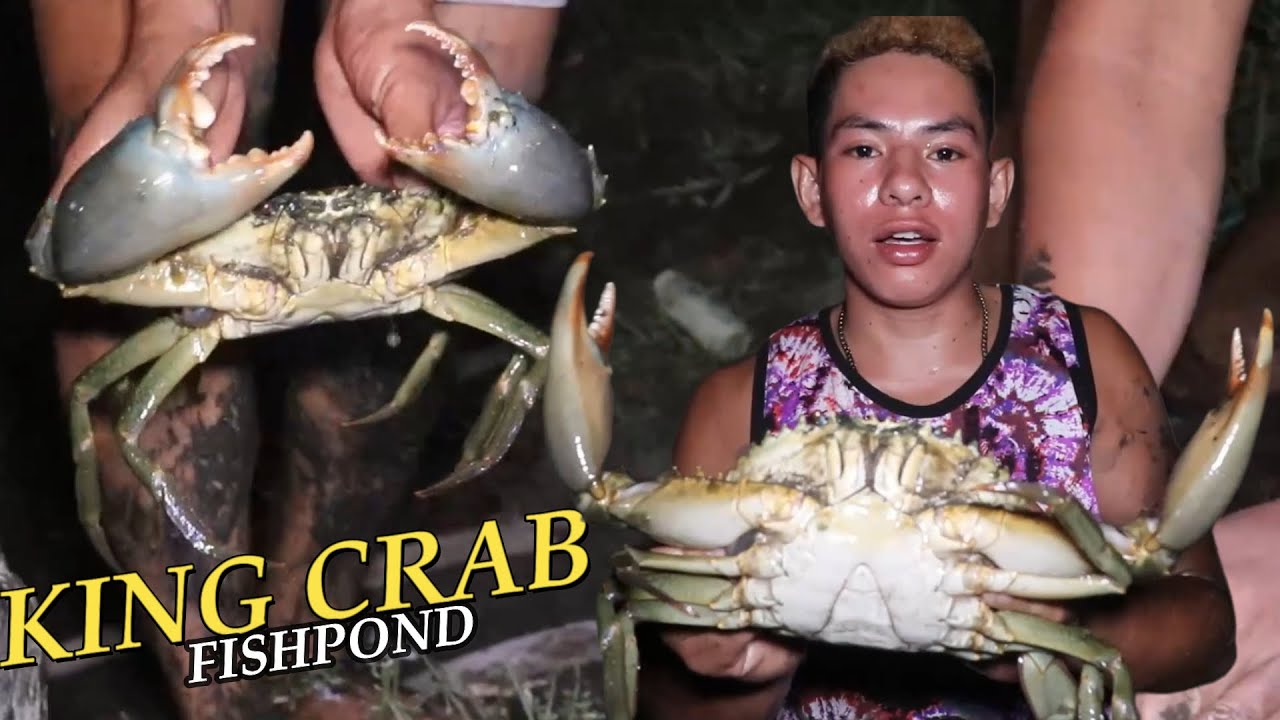 AMAZING UNLI CRABS SA FISHPOND - YouTube