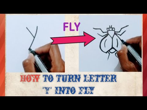How To Draw A Fly From Letter 'Y' || How To Turn Letter 'Y' Into Fly ...
