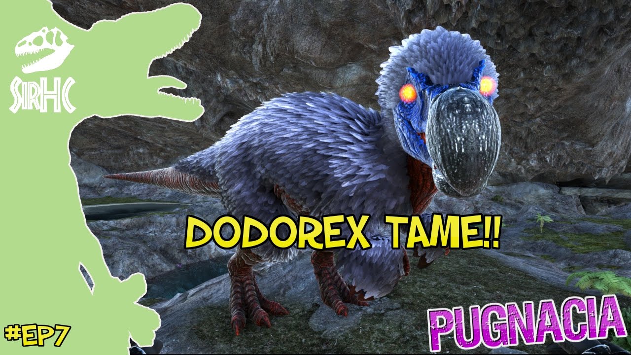 DODOREX TAME!! :: EP7 :: DANSK PUGNACIA MODDED ARK :: SÆSON 2 - YouTube