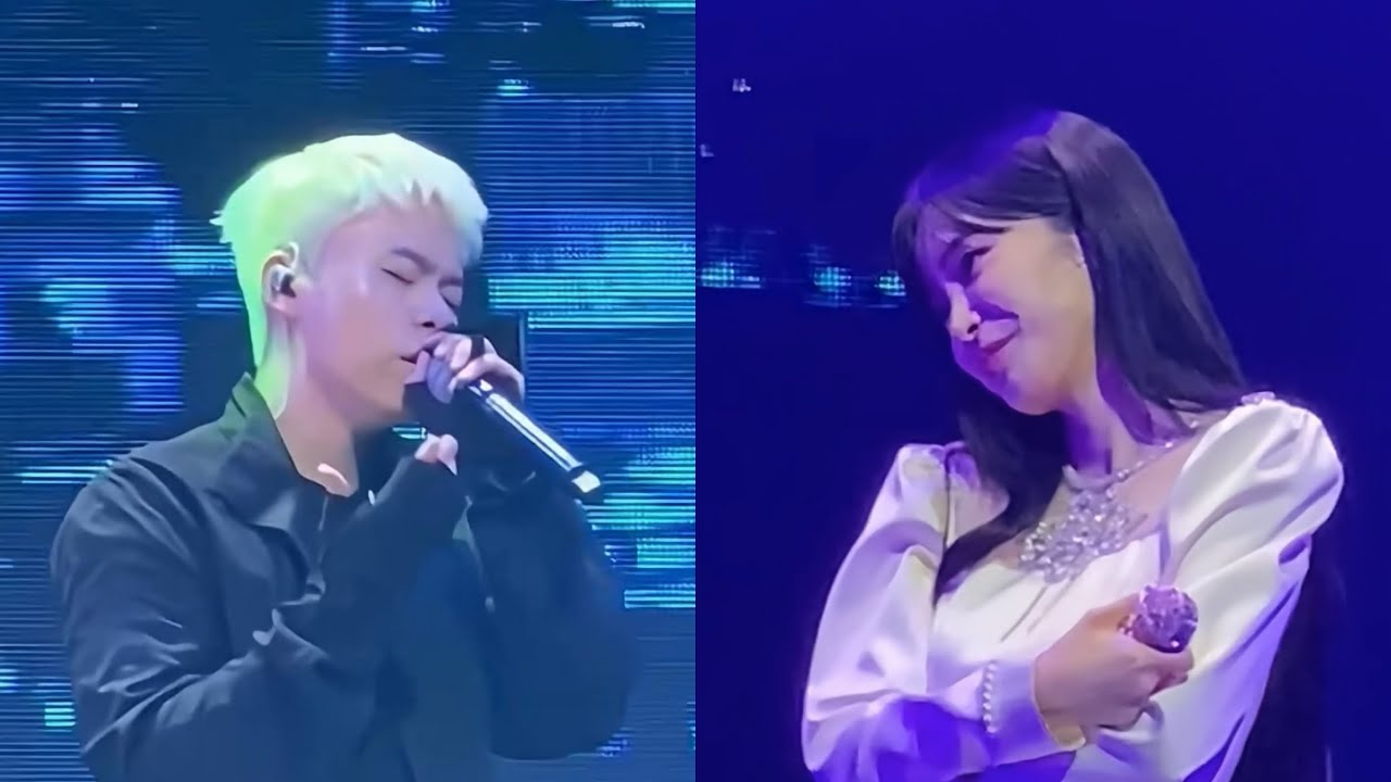 헤이즈(Heize) ‘나와 춤을(Picnic Of Night)(Feat. 찬)’ 라이브 세로 폰카 직캠 @헤이즈 콘서트 헤이즈 ...