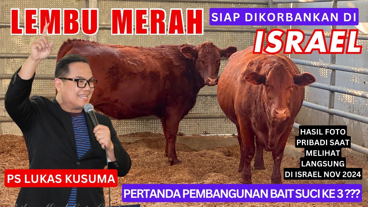 LEMBU MERAH SIAP DIKORBANKAN DI ISRAEL | Ps Lukas Kusuma |19 Nov 24| #israel #akhirzaman # ...
