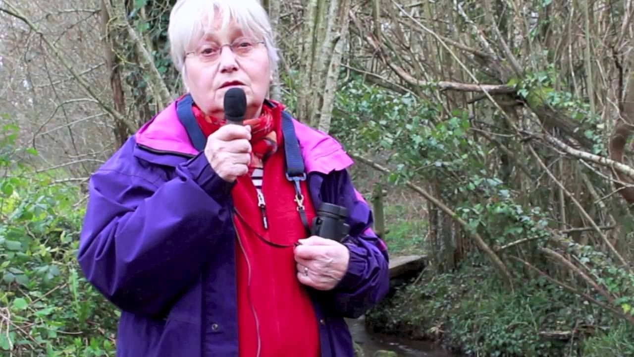 Nicole Lottin sur le chemin du bonheur - YouTube