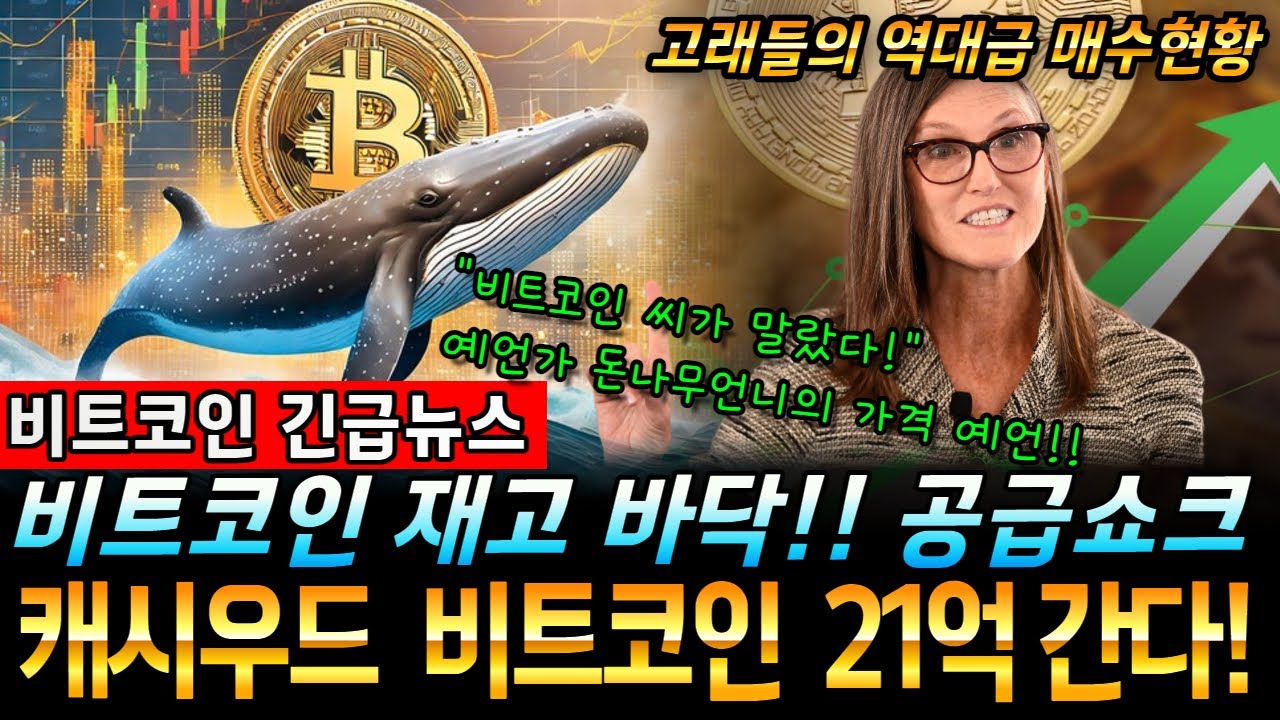 비트코인 비트코인 21억 간다 기관 역대급 매수 거래소 물량 바닥 공급쇼크온다 비트코인 알트코인 리플