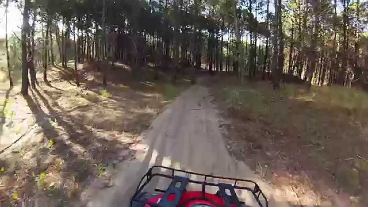 Cuatriciclo por senderos y medanos de Pinamar - GForce250- GoPro - YouTube
