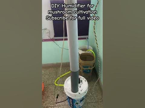 DIY Humidifier For Mushroom Cultivation | Low cost | Noise less | 100% ...