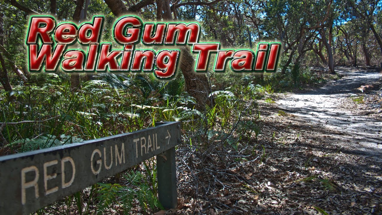 The Loudest Walk I've Done, The Red Gum Walking Trail - YouTube