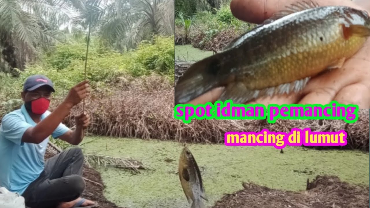 Spot idaman para pemancing - YouTube