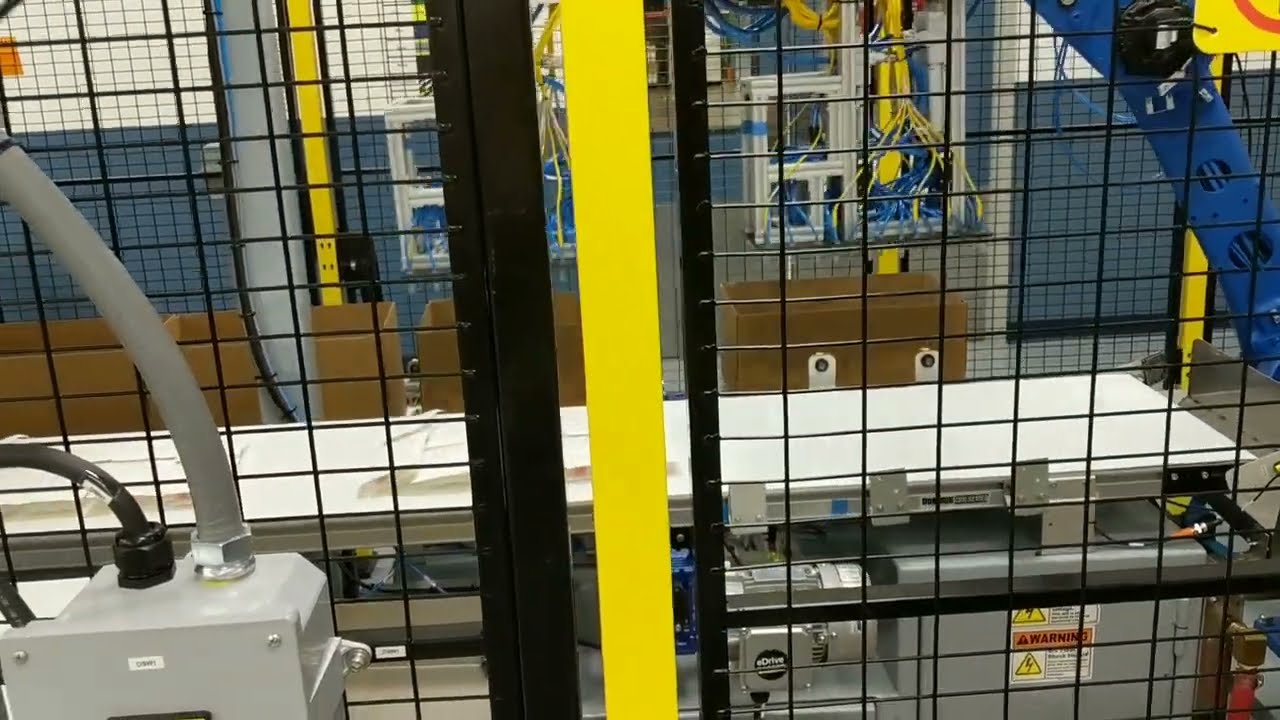 High speed pick and place with case packing - YouTube
