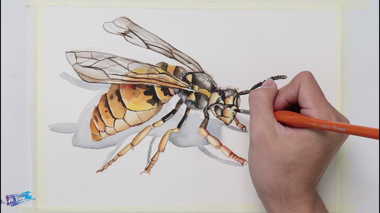 Hi View - #74 How to Draw a Bee Step by Step Tutorial for Beginners ...