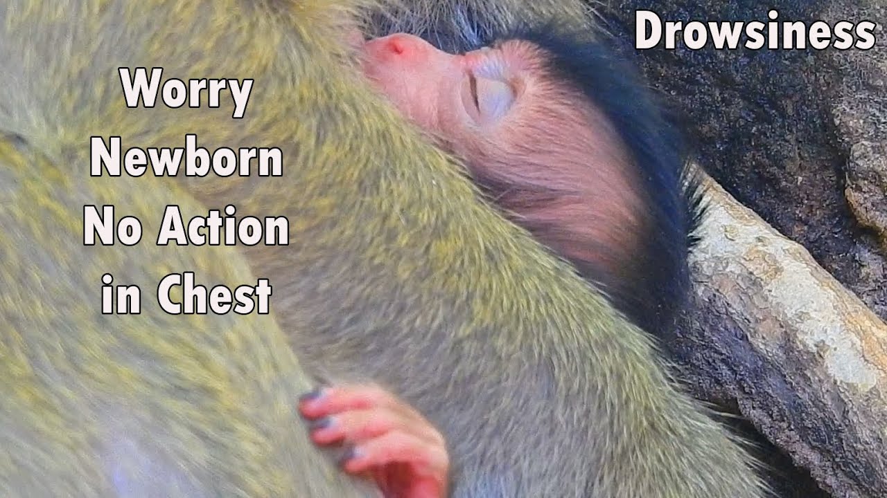 Worry Newborn baby No Action along Time In Chest Mom | Newborn Deep ...