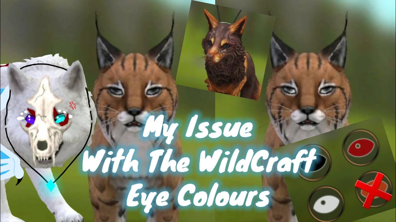 My Problem With The WildCraft Eye Colours... - YouTube
