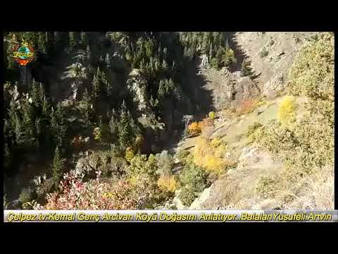 Çelpez.tv:Kemal Genç Arcivan Köyü Doğasını Anlatıyor..BalalanYusufeli.Artvin