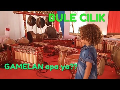 BULE CILIK MAIN GAMELAN || BULE KECIL PENASARAN LIHAT GAMELAN