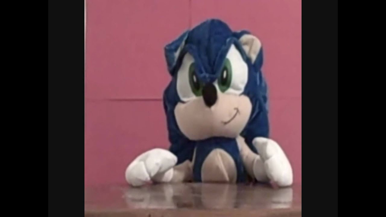 Sonic Sez 10: Health and Pollution - YouTube