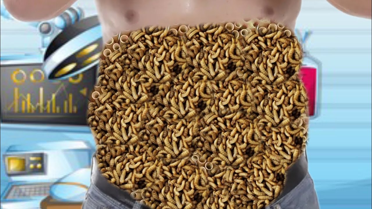 ASMR Remove Dog tick from infected stomach - ASMR Treatment Animation ...