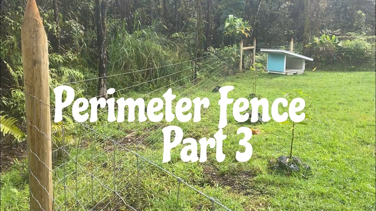 Perimeter Fence Part 3 - YouTube