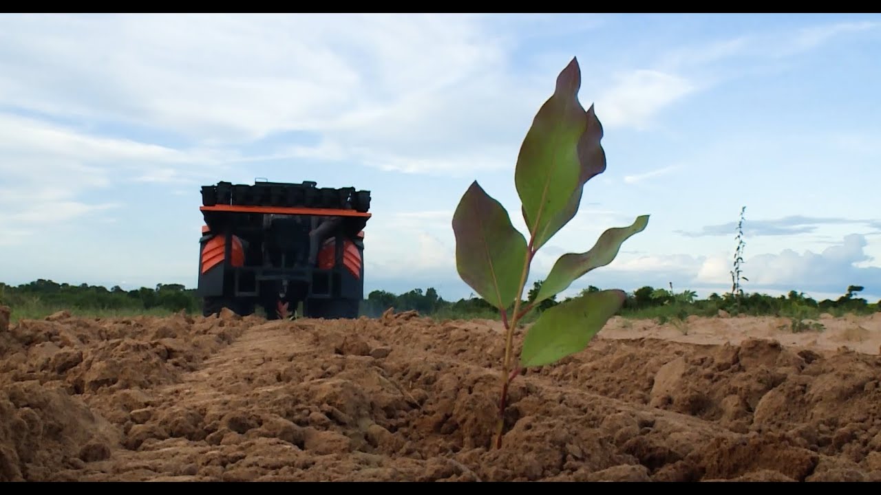 Brazil Forest Bots: ‘Sustainable in Latin America – Global Action ...