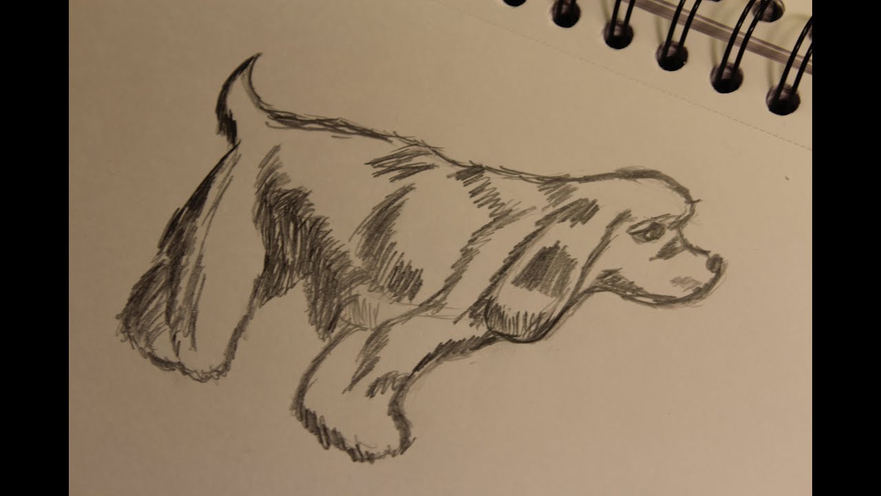 Tutorial to draw a Cocker Spaniel - Gustavo Maida - YouTube