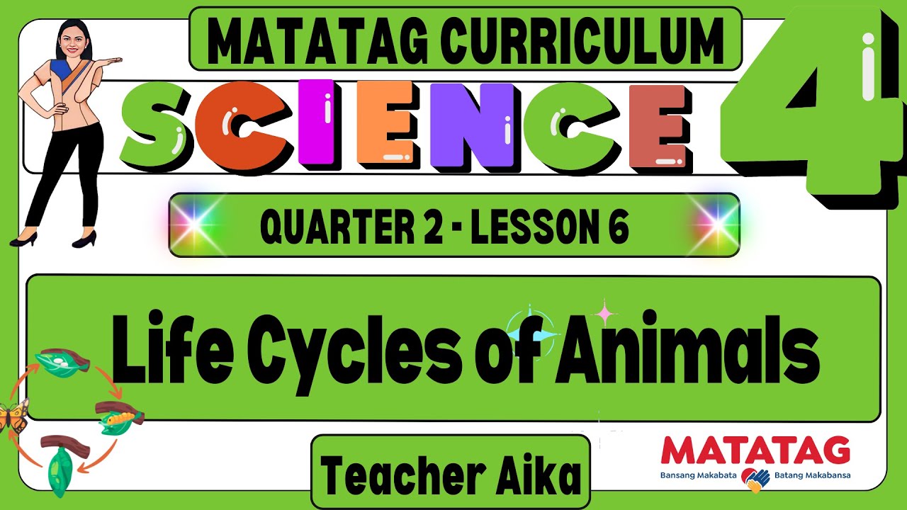 MATATAG Science 4 Grade 4 Quarter 2 Lesson 6 Life Cycles of Animals - YouTube