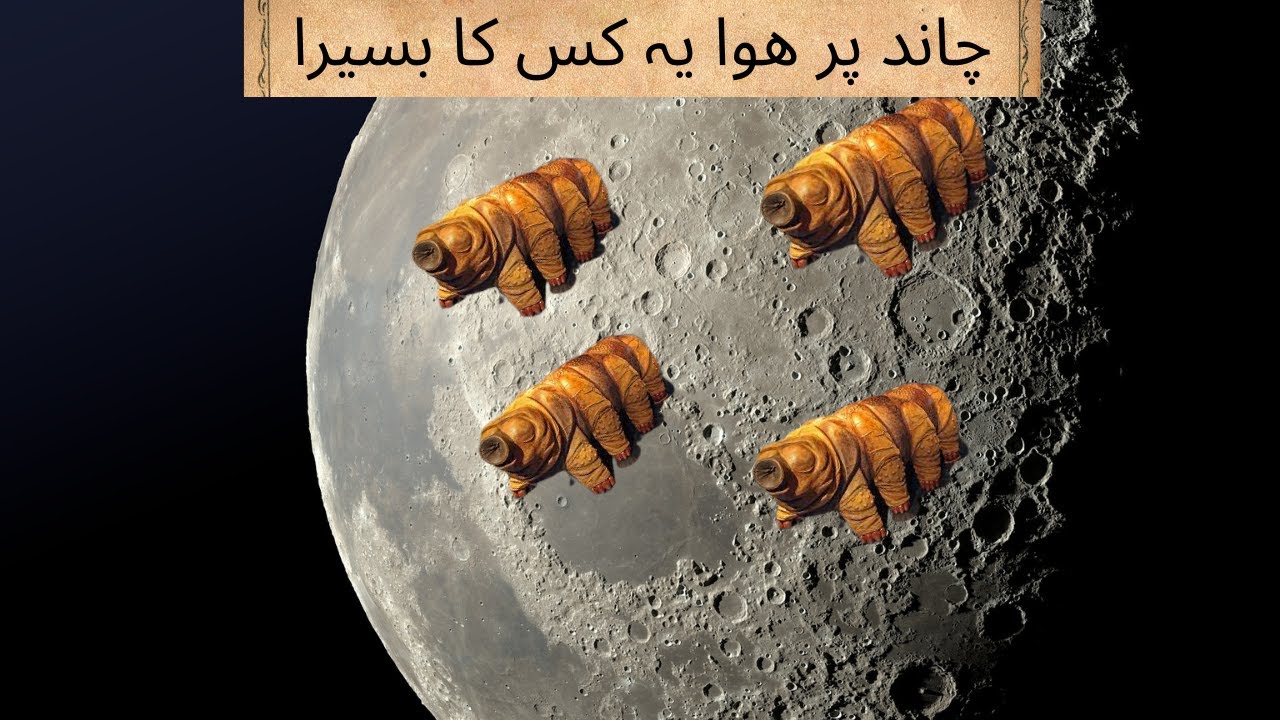 How Scientists Accidentally Spilled Tardigrade On The Moon | The Moon ...