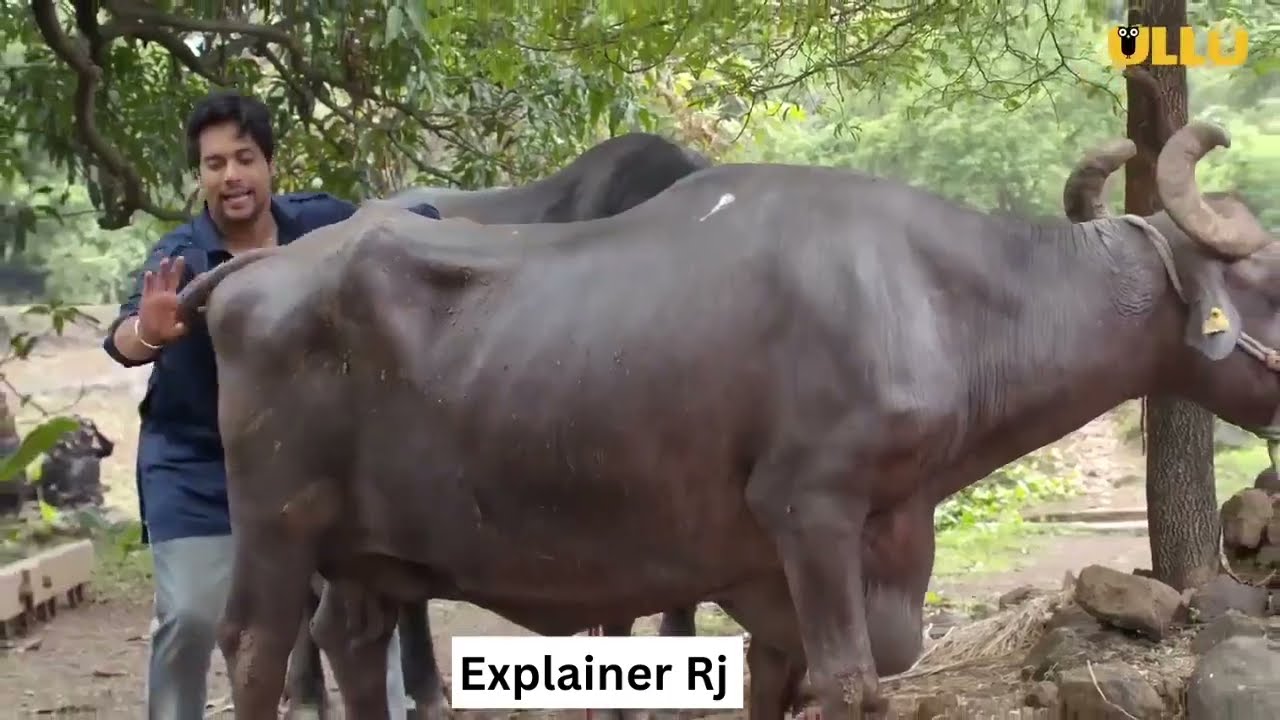 Ullu new web series shiny dixit new web series sultan full web series ullu originals new web ...