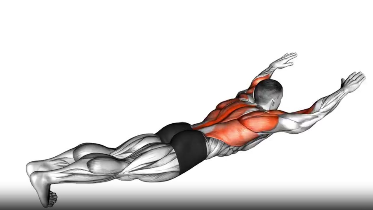 Get a ripped look with these dumbbell back exercises - YouTube