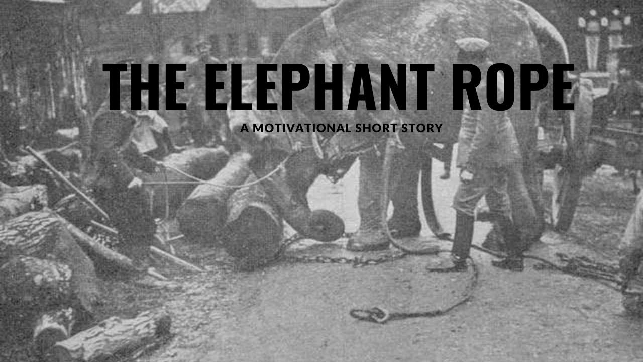 The Elephant Rope|Motivational Short Story - YouTube