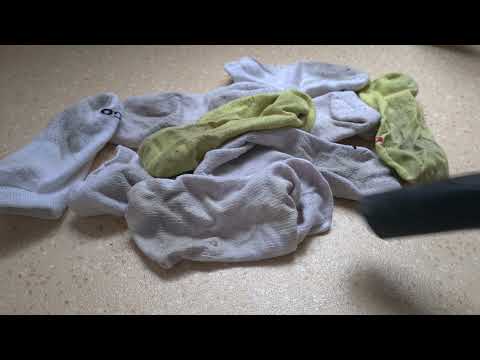 [Kärcher WD 6P] Vacuuming all socks
