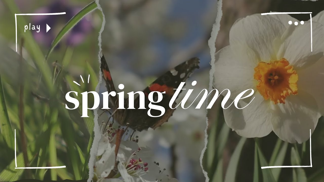 Springtime | Nature Video | Chris Renzema Song | Set Free Ministries # ...
