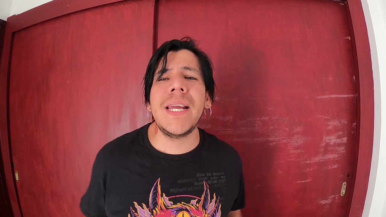 Vida (cover) Saurom - YouTube