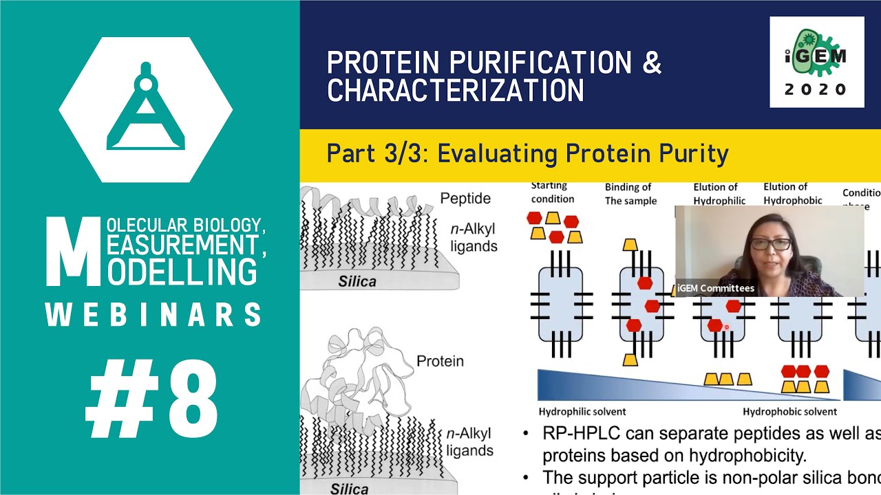 Week #8: Protein Purification and Characterization 3/3: Evaluating ...