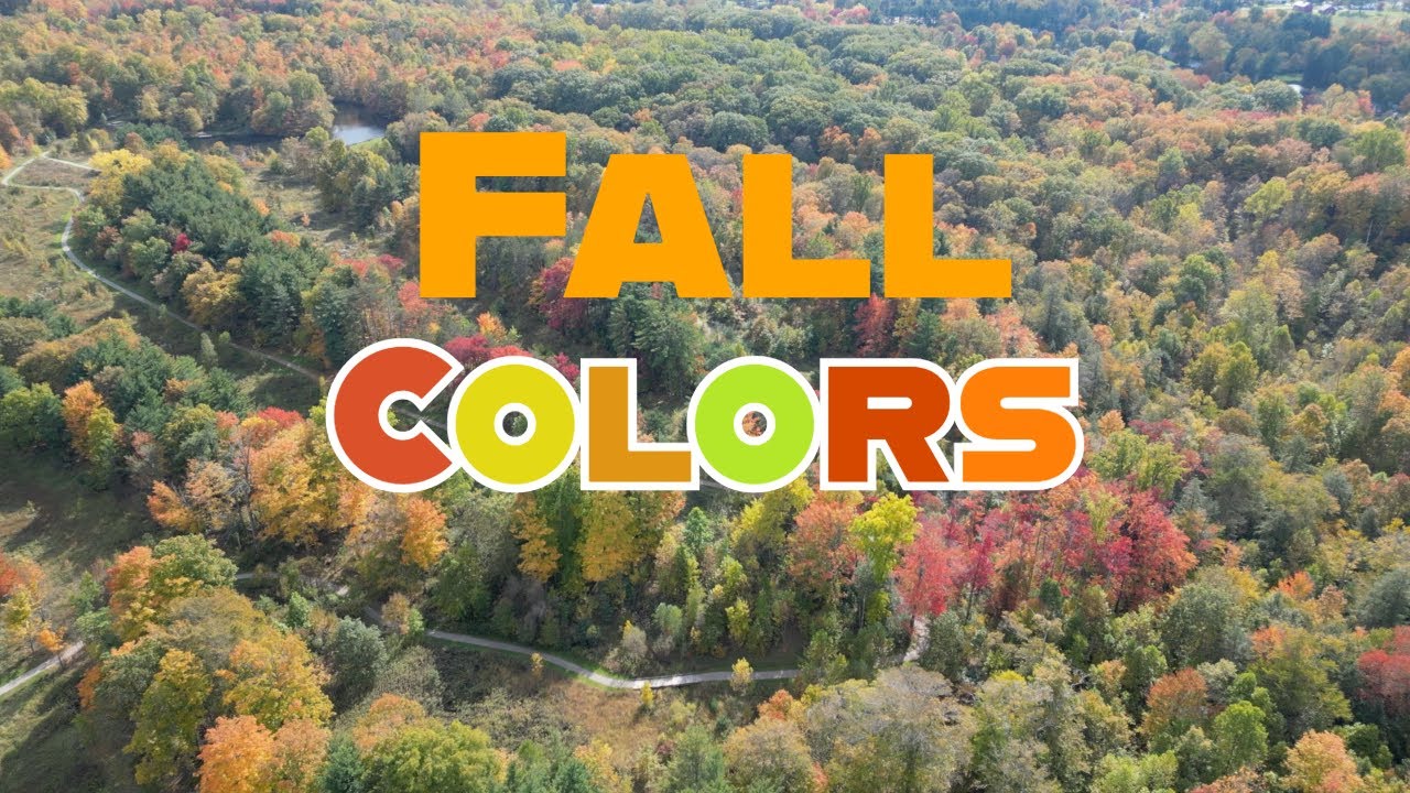 Drone Footage Of Beautiful Fall Colors In Northeast Ohio - YouTube