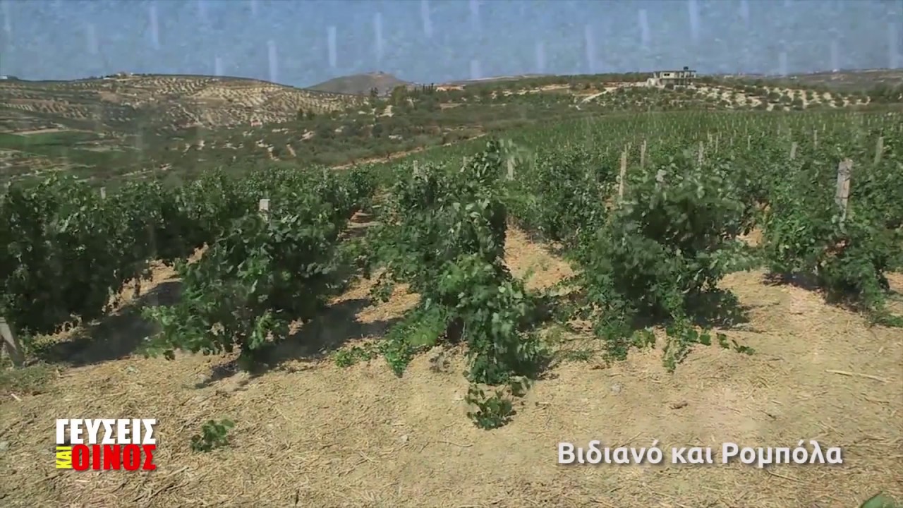 Master of Wine - Ελληνικός Αμπελώνας - YouTube