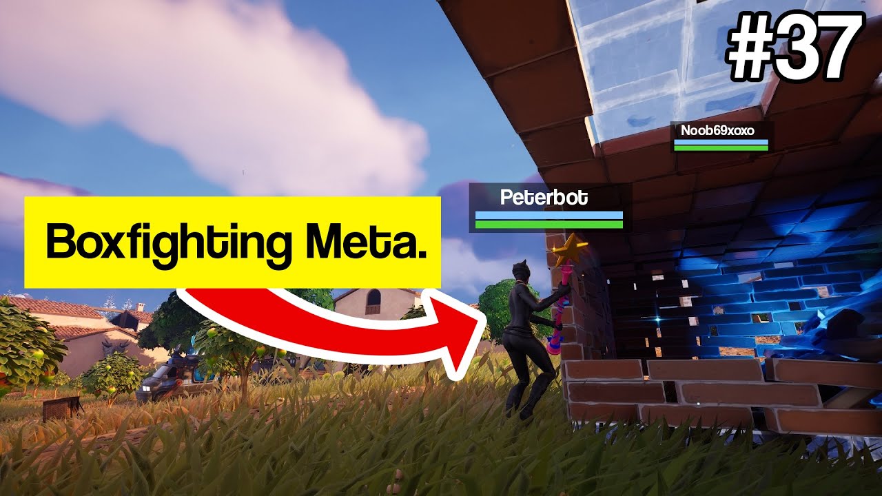 How Peterbot ACTUALLY Got a 37 Kill Win in Finals - YouTube