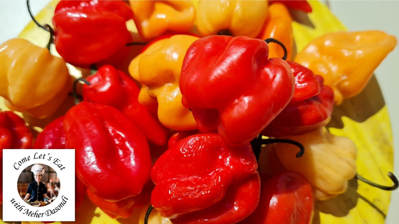 Pilipili Mbuzi I Congo Red I Red Hot Chilli Peppers I Cooking In Kigali ...