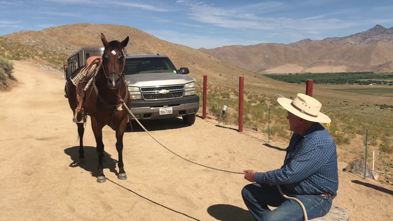 Step One for Teaching Your Horse to Tie Off and Hold a Rope - YouTube