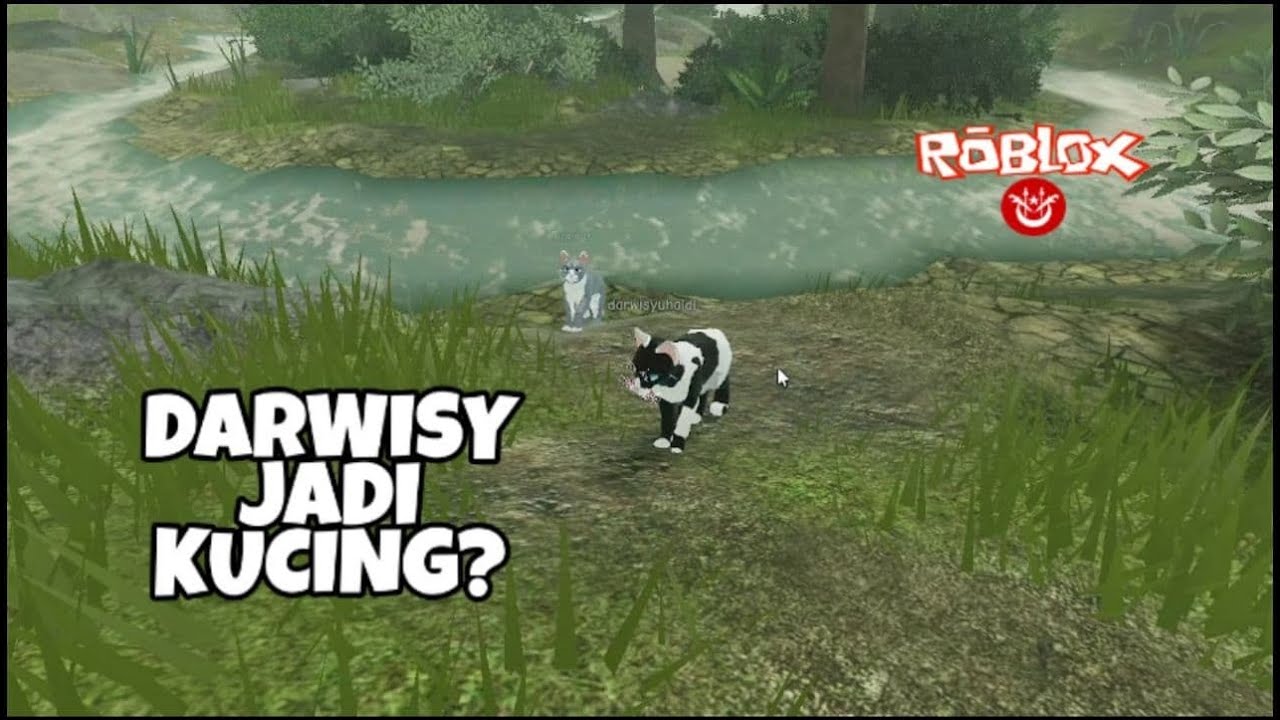 Darwisy Jadi Kucing Jalanan | Drama Roblox | Roblox Malaysia | Roblox ...