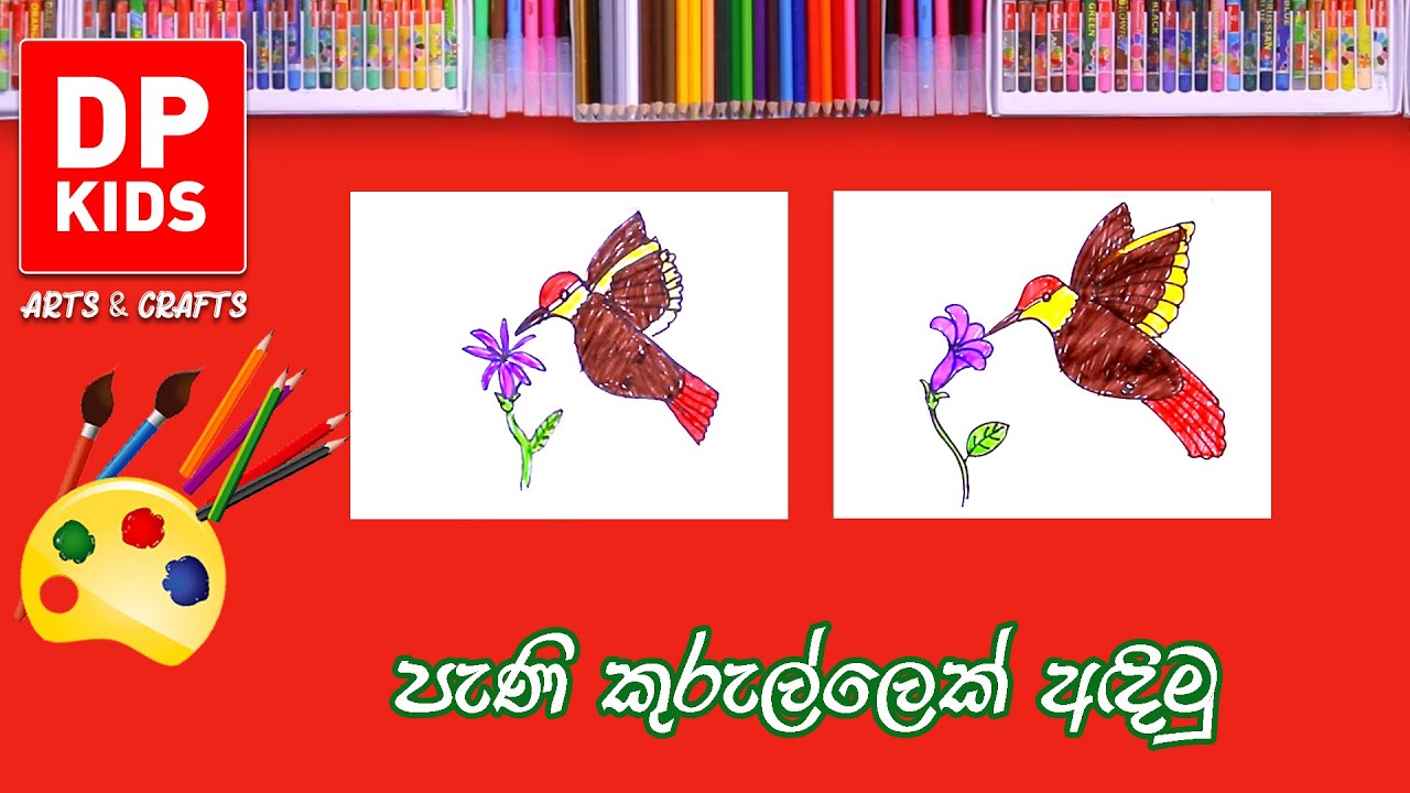 පැණි කුරුල්ලෙක් අඳිමු | Let's draw a Honey Bird - DP KIDS ARTS & CRAFTS ...