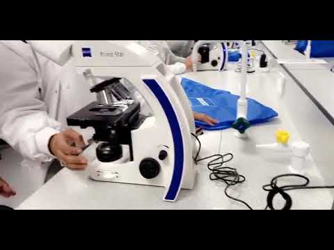 Setting up A Microscope - YouTube