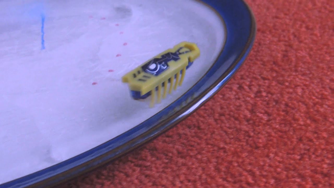 hexbug nano short track speed skating competition - YouTube