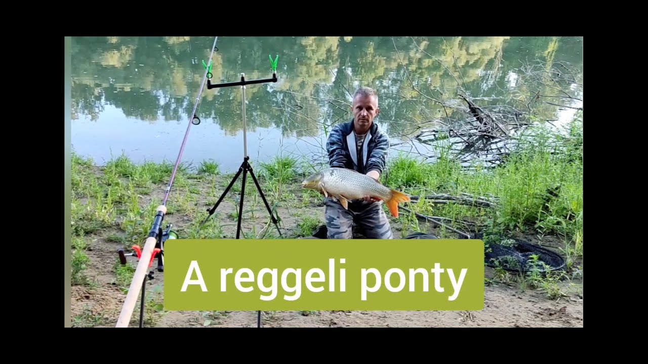 14. rész - A reggeli ponty - My Fishing Borsos Csaba - YouTube